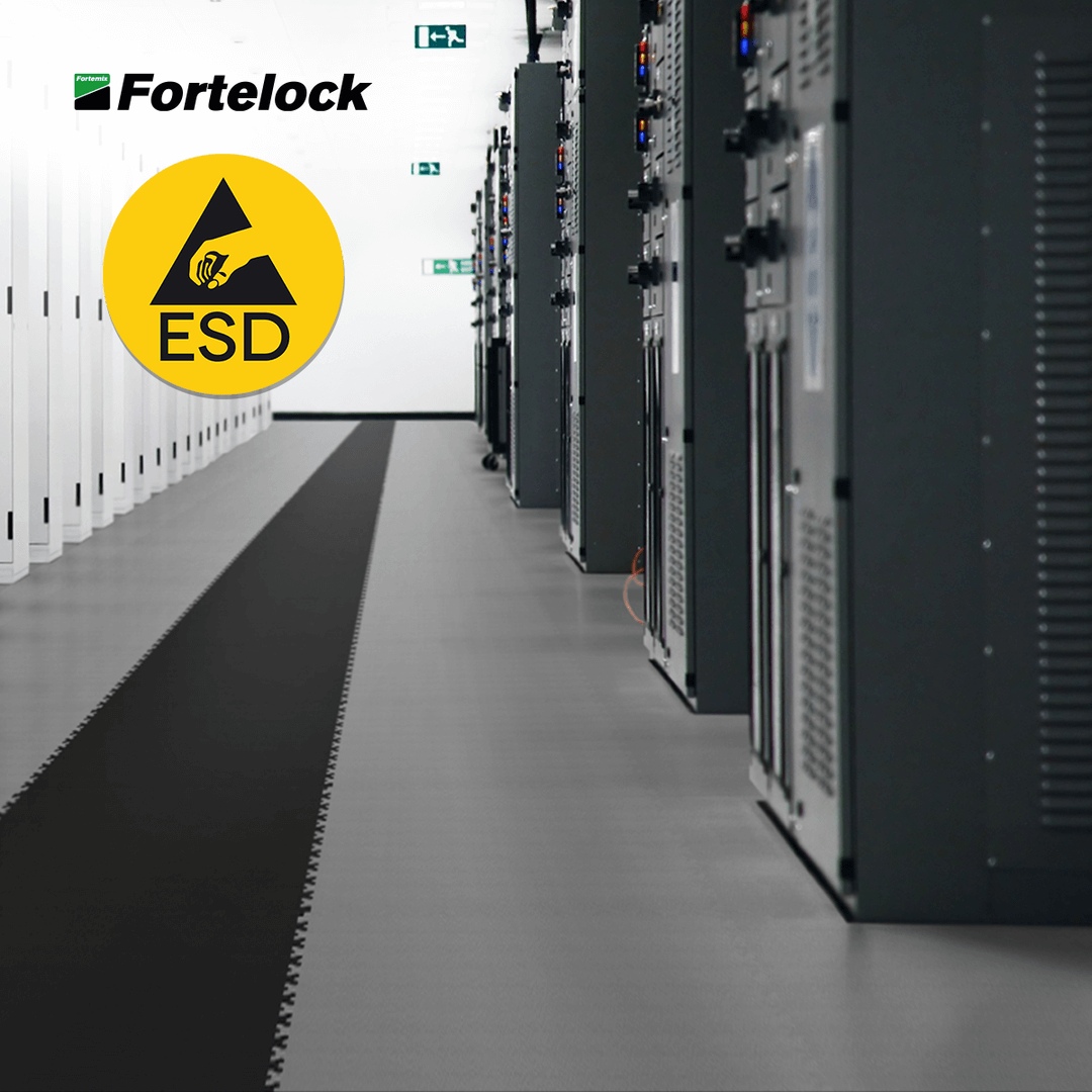 Electrostatic Protection in Practice: Equipping EPA Premises - Fortelock