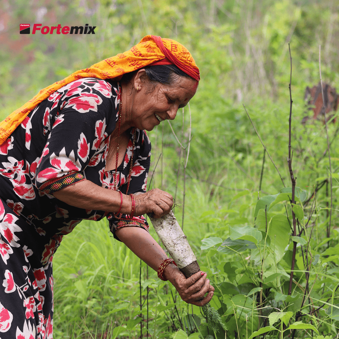 Restoring forests in Nepal - Fortelock